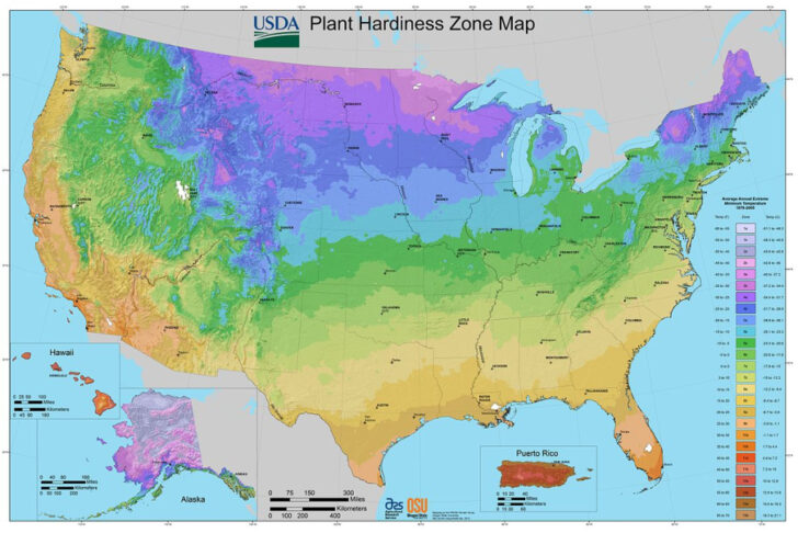 File:2012 Usda Plant Hardiness Zone Map (Usa) - Wikimedia Commons | Map Of Growing Zones USA ...
